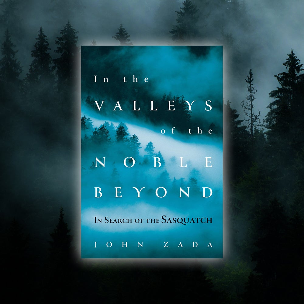 Book - In the Valleys of the Noble Beyond - by John Zada | North ...
