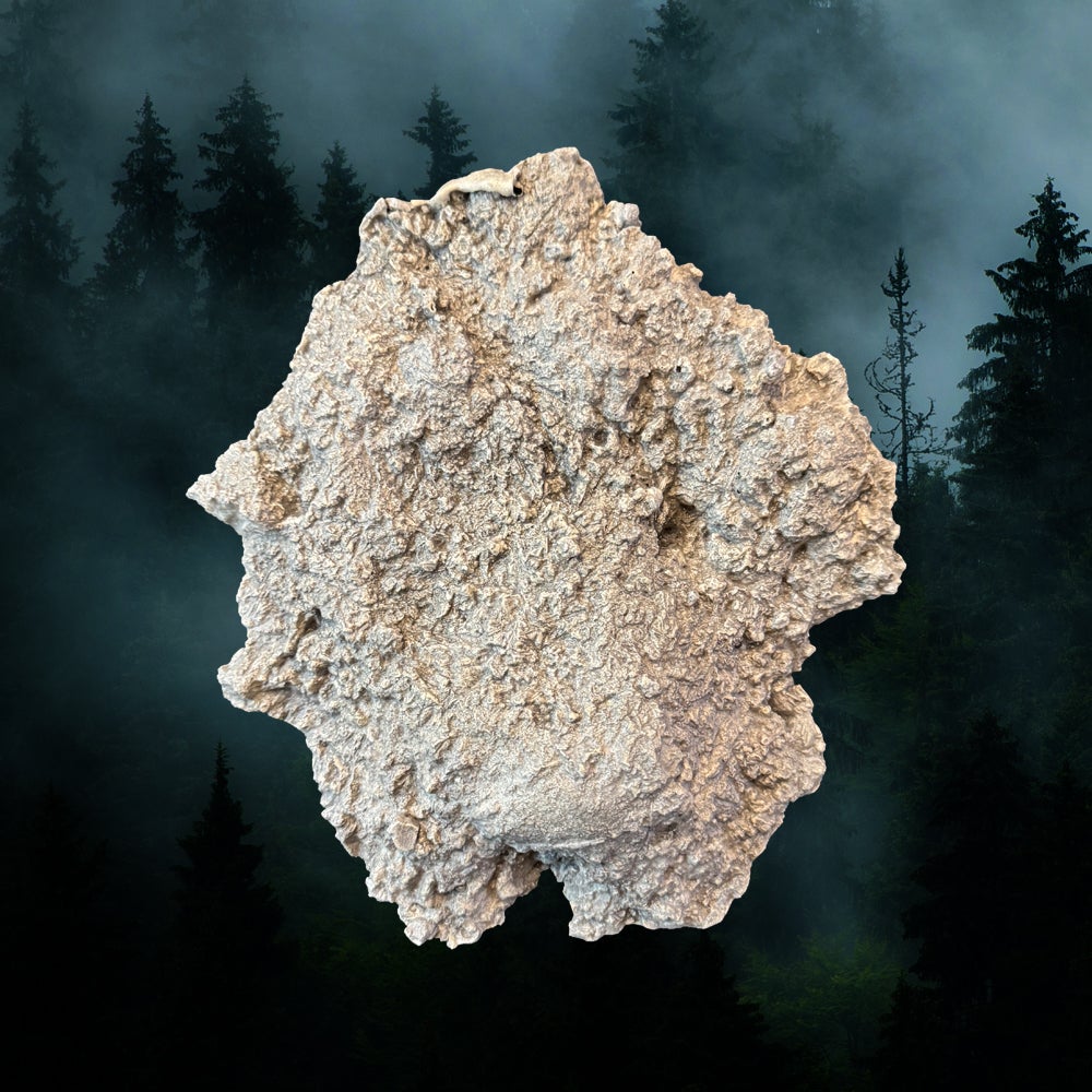 2023 Mt. Hood Juvenile Hand Cast | North American Bigfoot Center