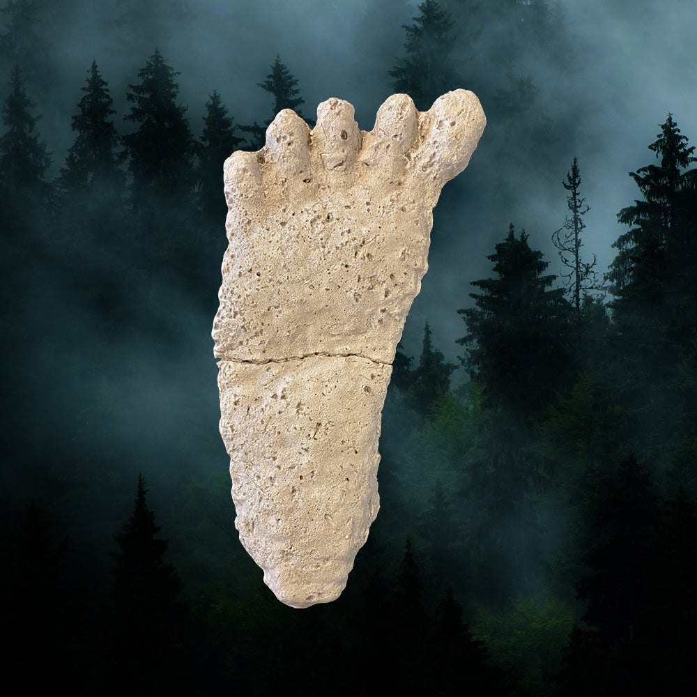 19?? BC Cast | North American Bigfoot Center