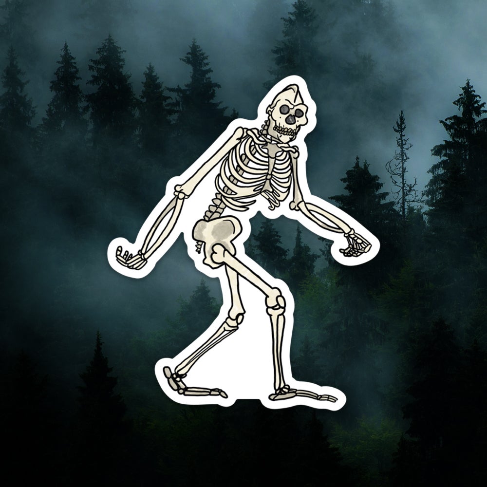 Sticker - Sasquatch Skeleton | North American Bigfoot Center
