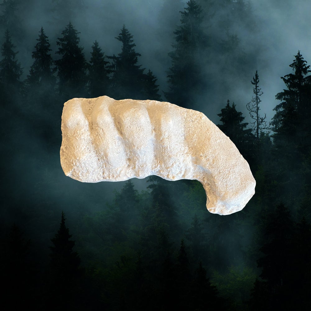 1982 Freeman Knuckles Cast | North American Bigfoot Center