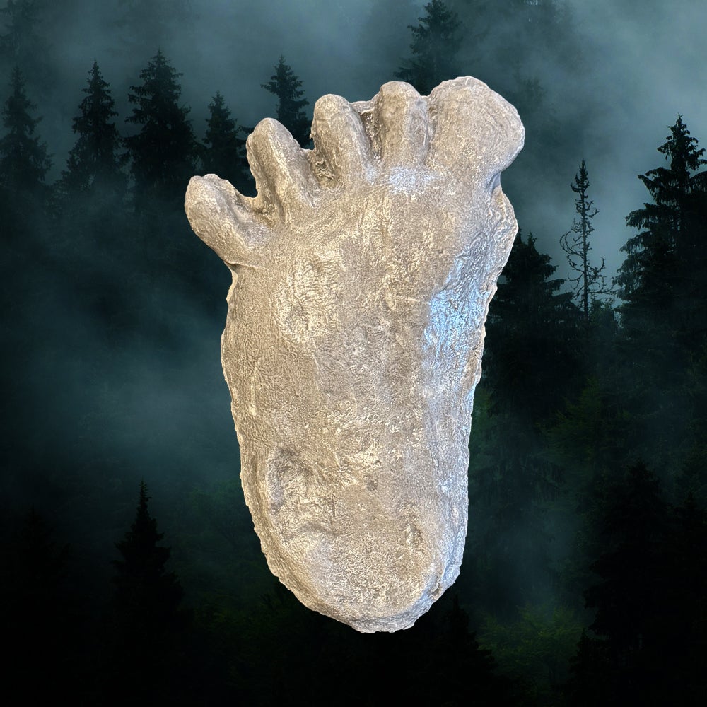 1984 Wrinkle Foot Right Cast Signed by Michael Freeman | North American Bigfoot Center