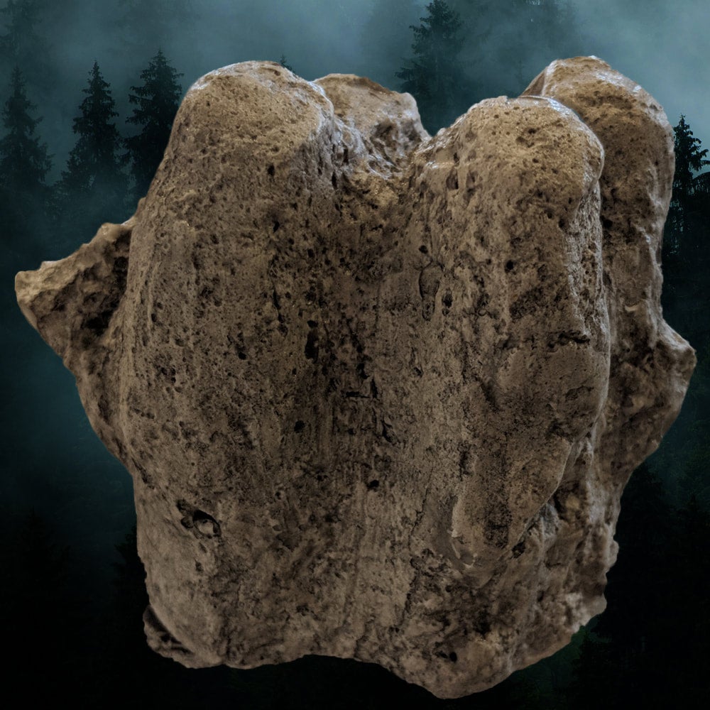 2017 Nutella Cast | North American Bigfoot Center