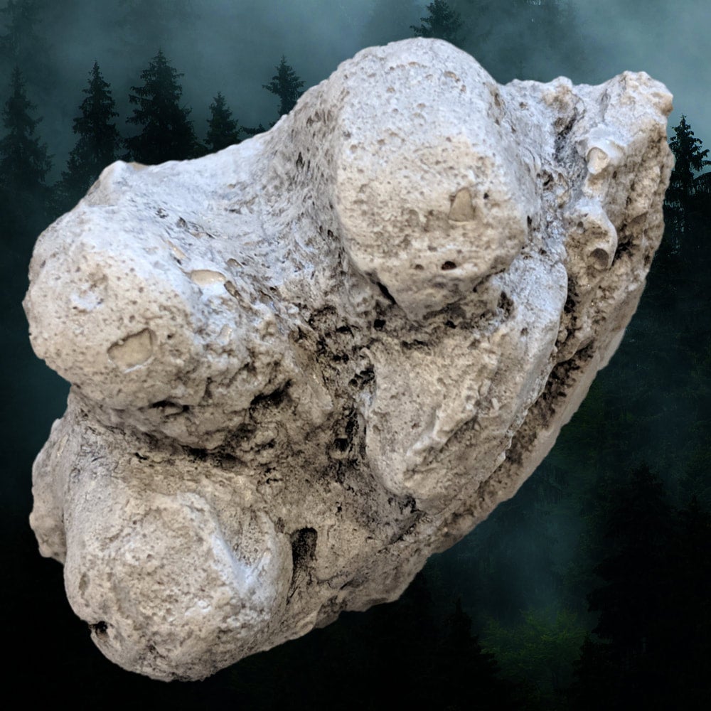 2017 Nutella Cast | North American Bigfoot Center